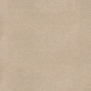 Trident 24 Colours available